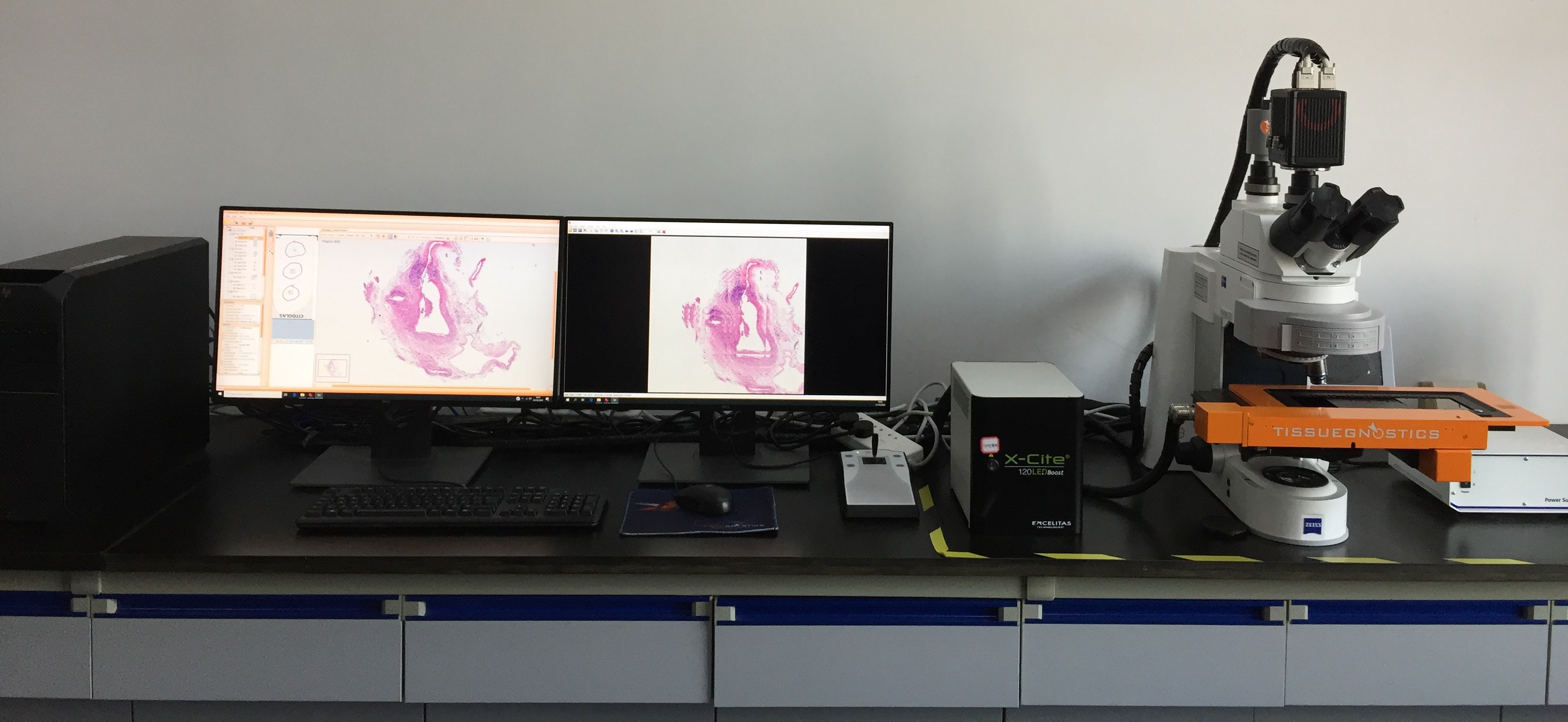 全景组织细胞定量分析系统-赣南医科大学心脑血管疾病防治教育部重点实验室